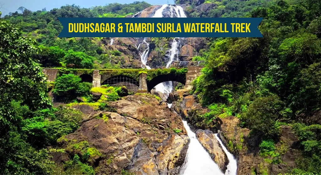 Dudhsagar & Tambdi Surla Waterfall Trek 2025 | Best Goa Nature ...